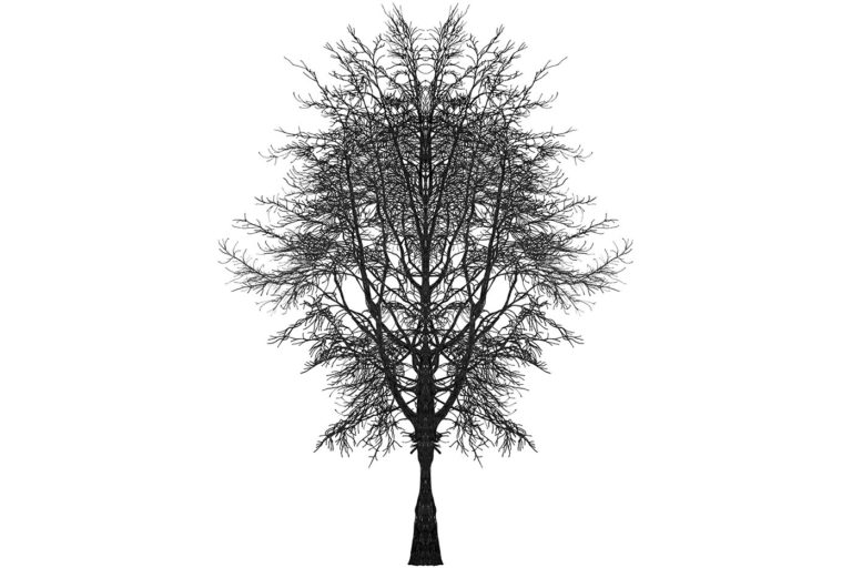 Trykkeriet • Trykkeriet